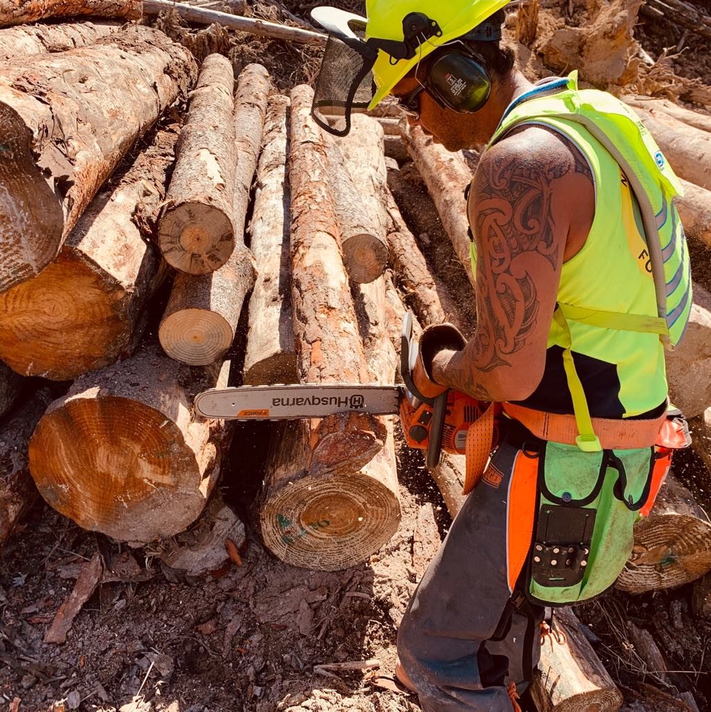 Gallery | Johnson Contractors Limited